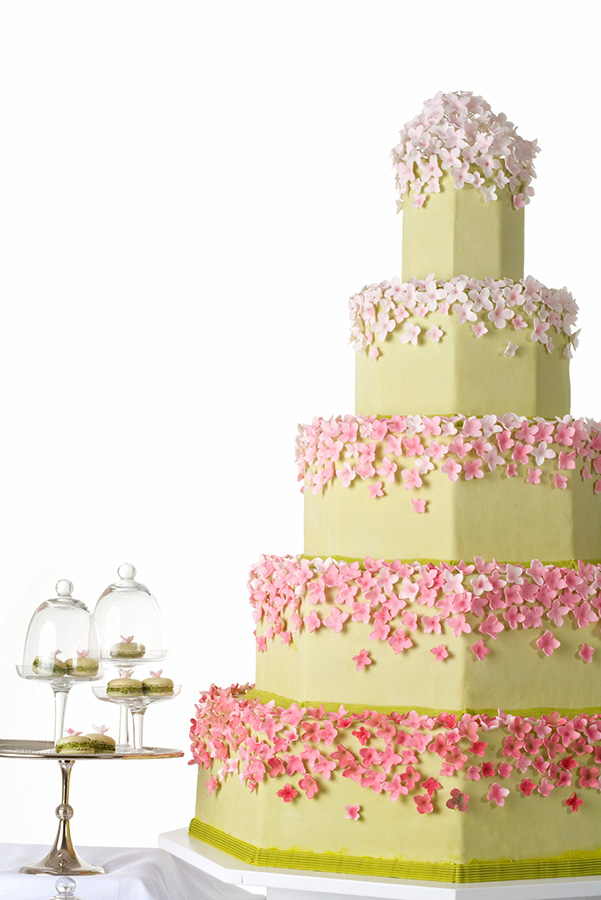 What cake designs are couples choosing? - Caribbean Belle Weddings